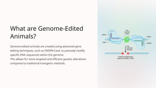 Introduction-to-Transgenic-and-Genome-Edited-Animals (1).pptx