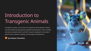 Introduction-to-Transgenic-Animals.molecular biologypptx | PPT