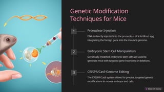 Introduction-to-Transgenic-Animals.molecular biologypptx | PPT