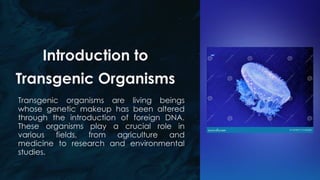 Introduction-to-Transgenic-Organisms.pptx | Biotech and Biomedical Industry | Industries
