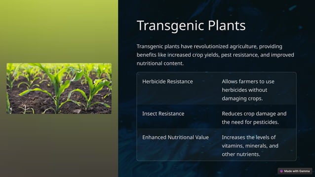 Introduction-to-Transgenic-Organisms.pptx | Biotech and Biomedical ...