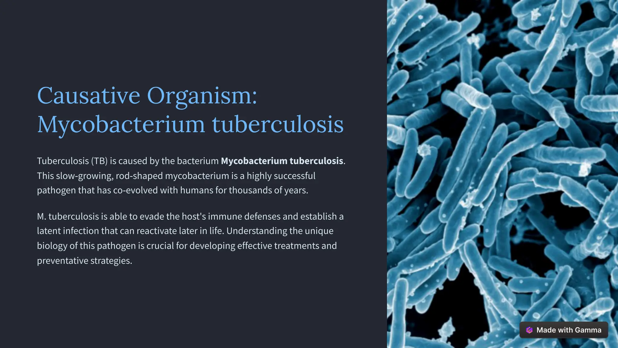 Introduction-to-Tuberculosisqqqqqqqq.pdf