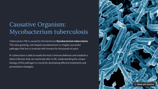 Introduction-to-Tuberculosisqqqqqqqq.pdf | Infectious Diseases ...