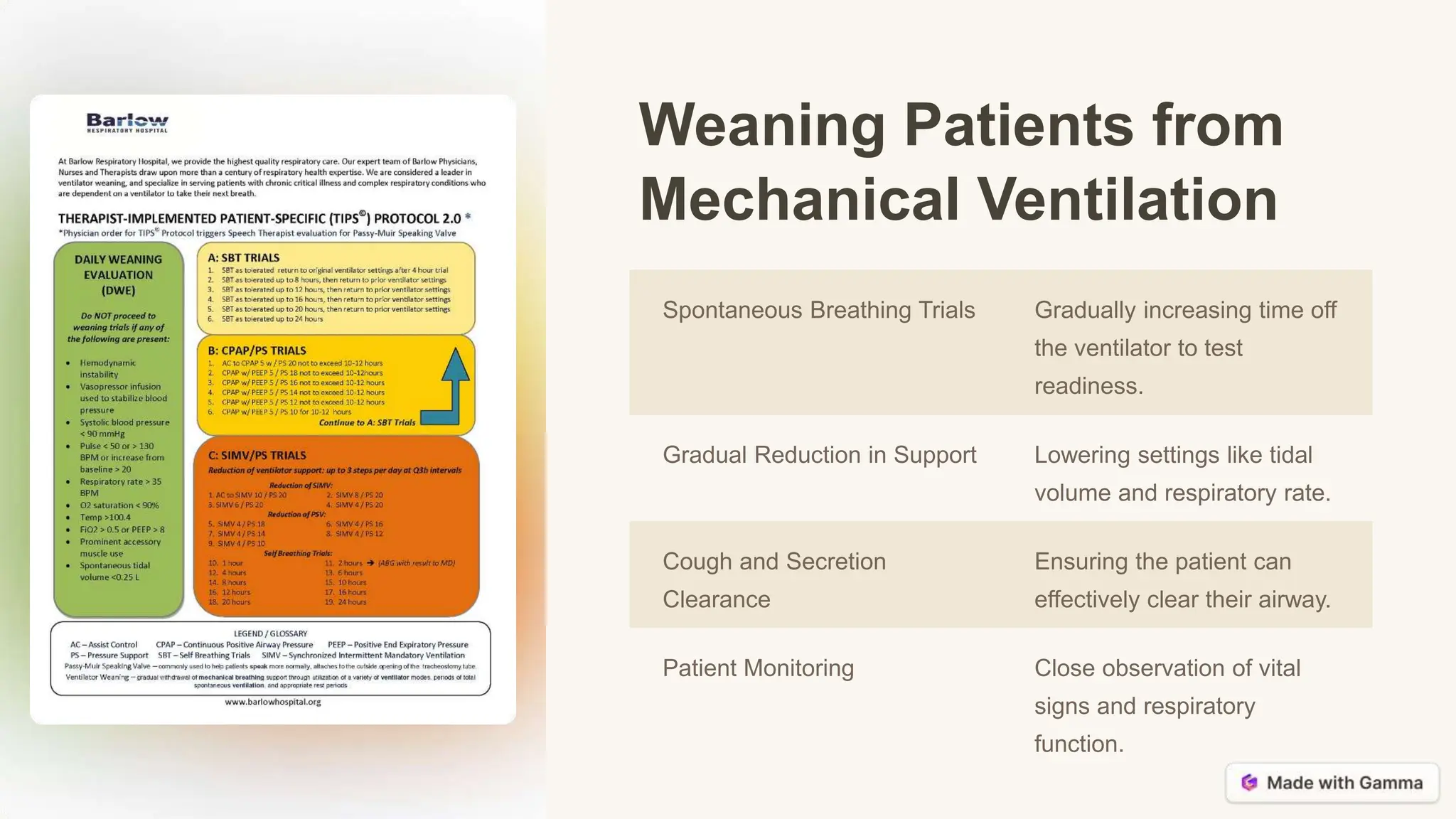 Introduction-to-Ventilators basics about ventilators | PPTX