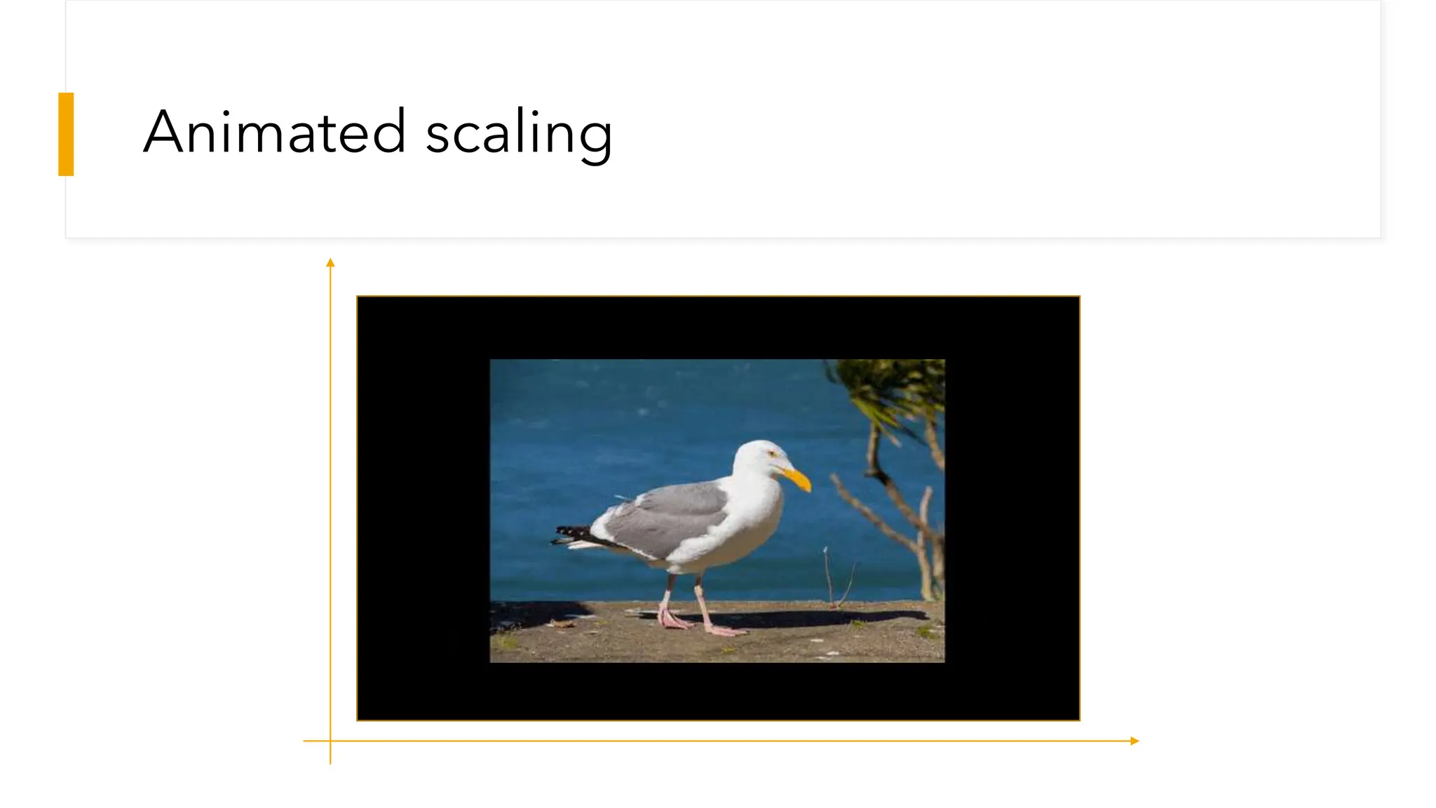 Introduction-to-video-audio-editing-ppt. | PDF | Photo Editing Software ...