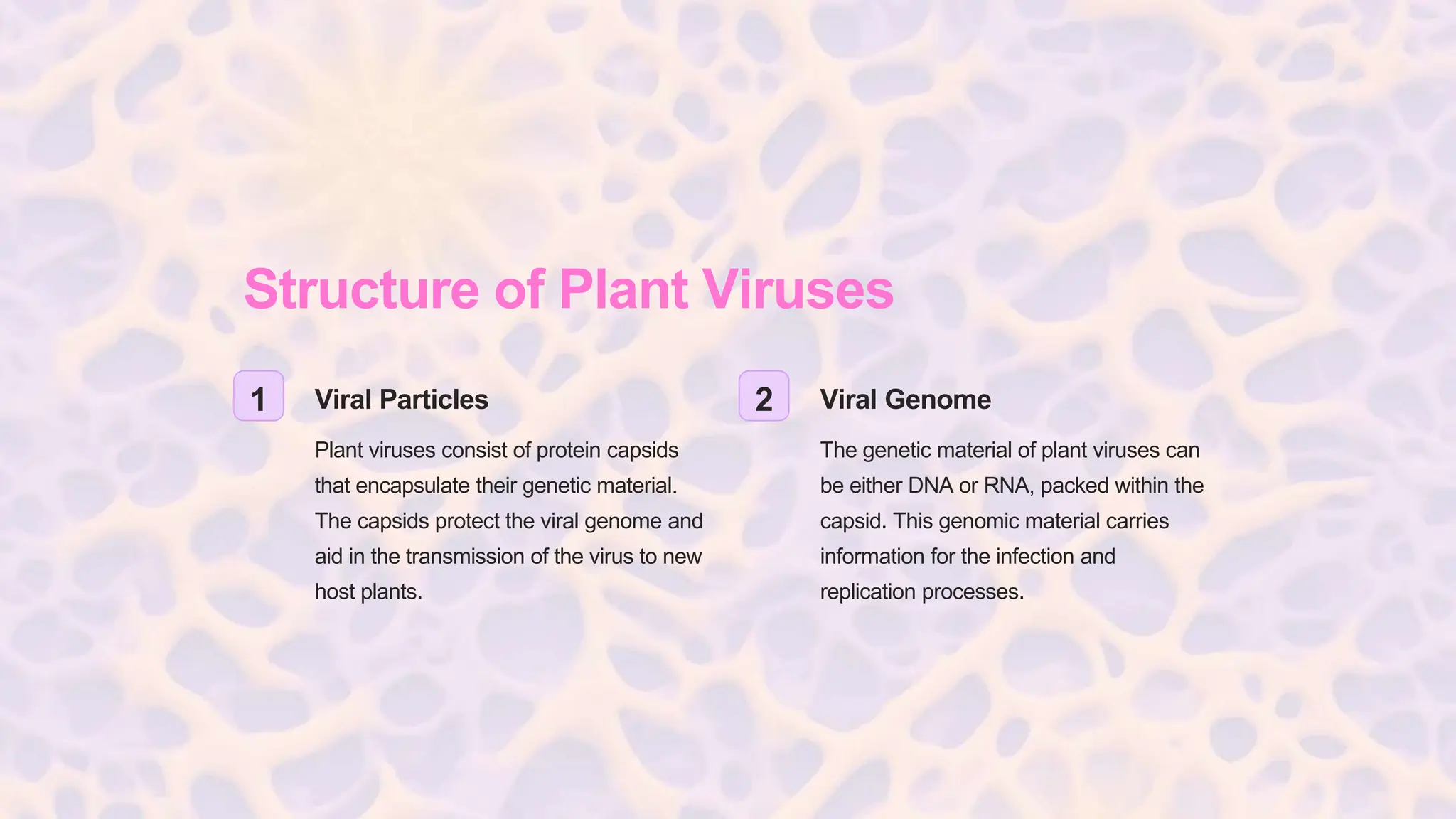 introduction to viruses, classification and structure. | PPTX