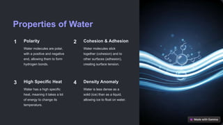 Introduction to Water | PowerPoint presentation.pptx | Science