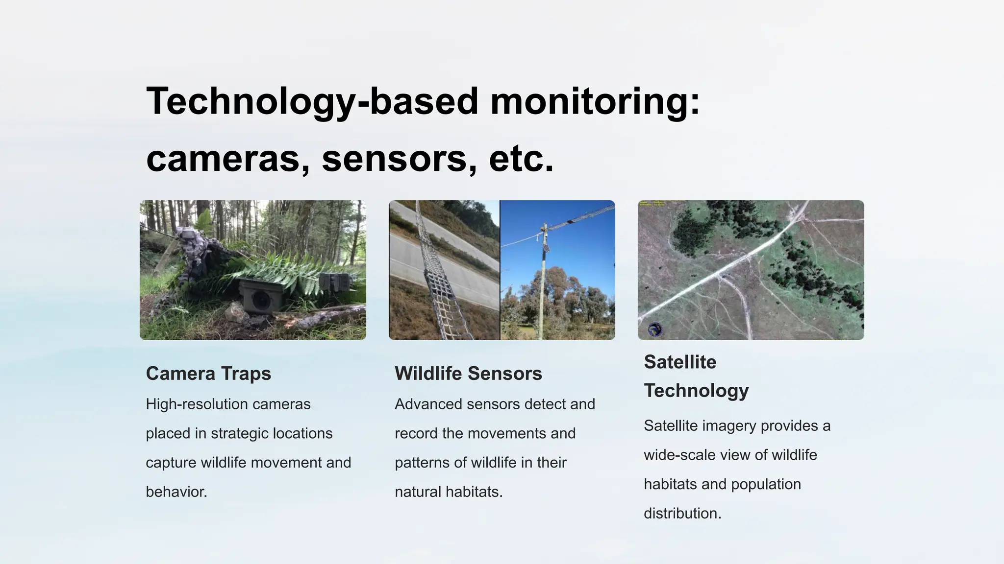 Introduction-to-Wildlife-Visitor-Monitoring.pdf