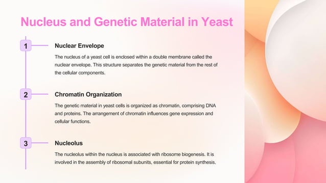 Introduction to Yeast ppt.pptx structure of yeast | PPTX | Biological Sciences | Science