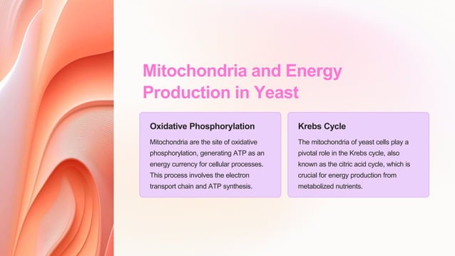 Introduction to Yeast ppt.pptx structure of yeast | PPTX | Biological Sciences | Science