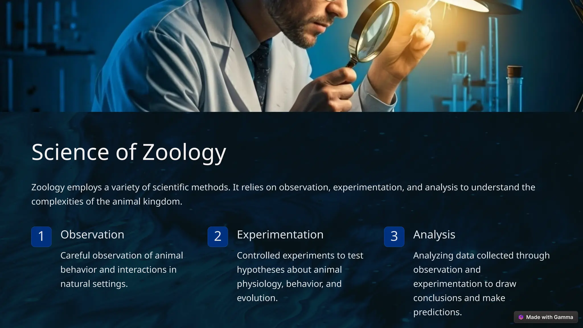 Introduction-to-Zoology -made by AI.pptx