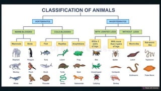 Introduction-to-Zoology. zoology is also explored, emphasizing its ...