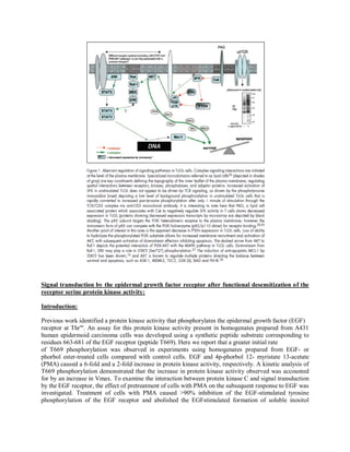 Signal Transduction | PDF