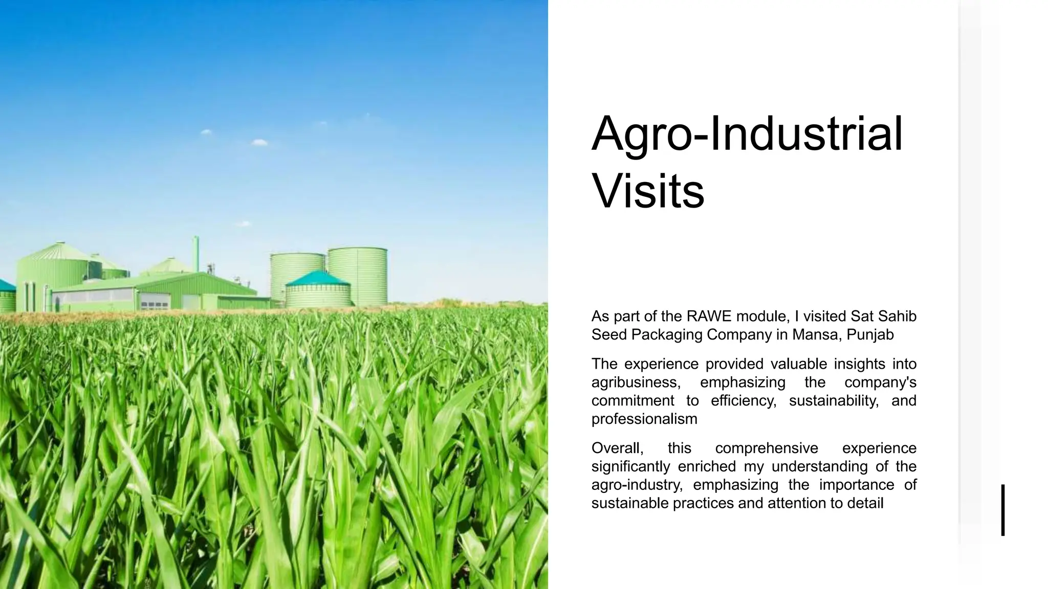 RAWE( Rural Agriculture Work Experience ) report presentation | PPTX