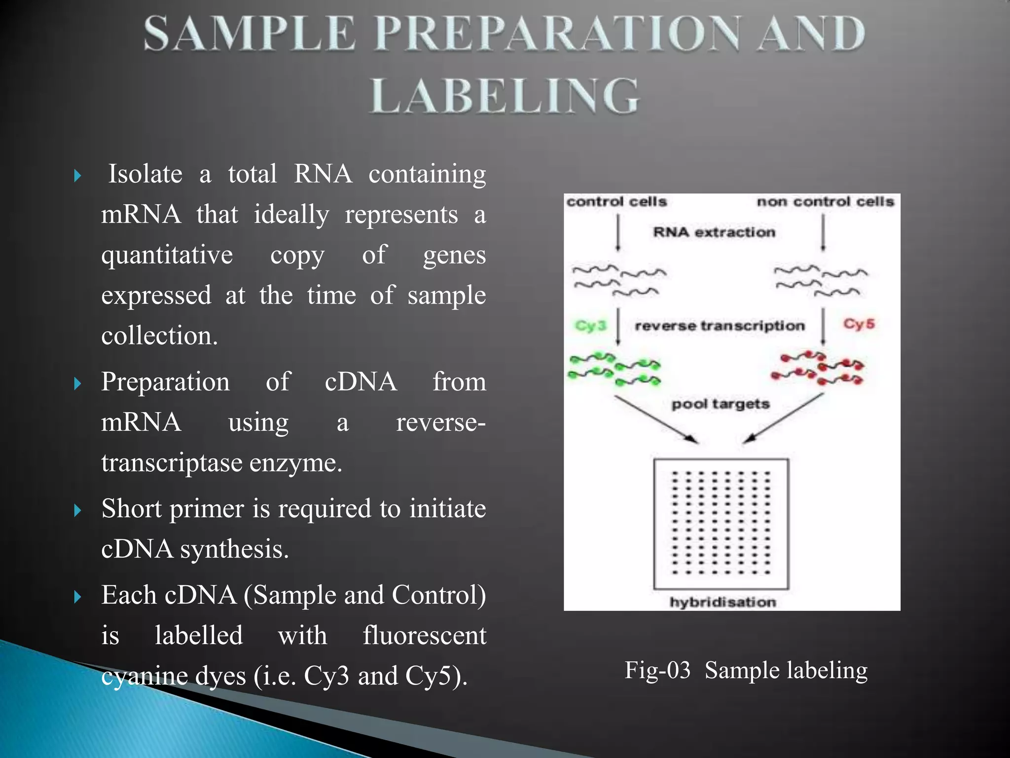 MICROARRAY | PPTX