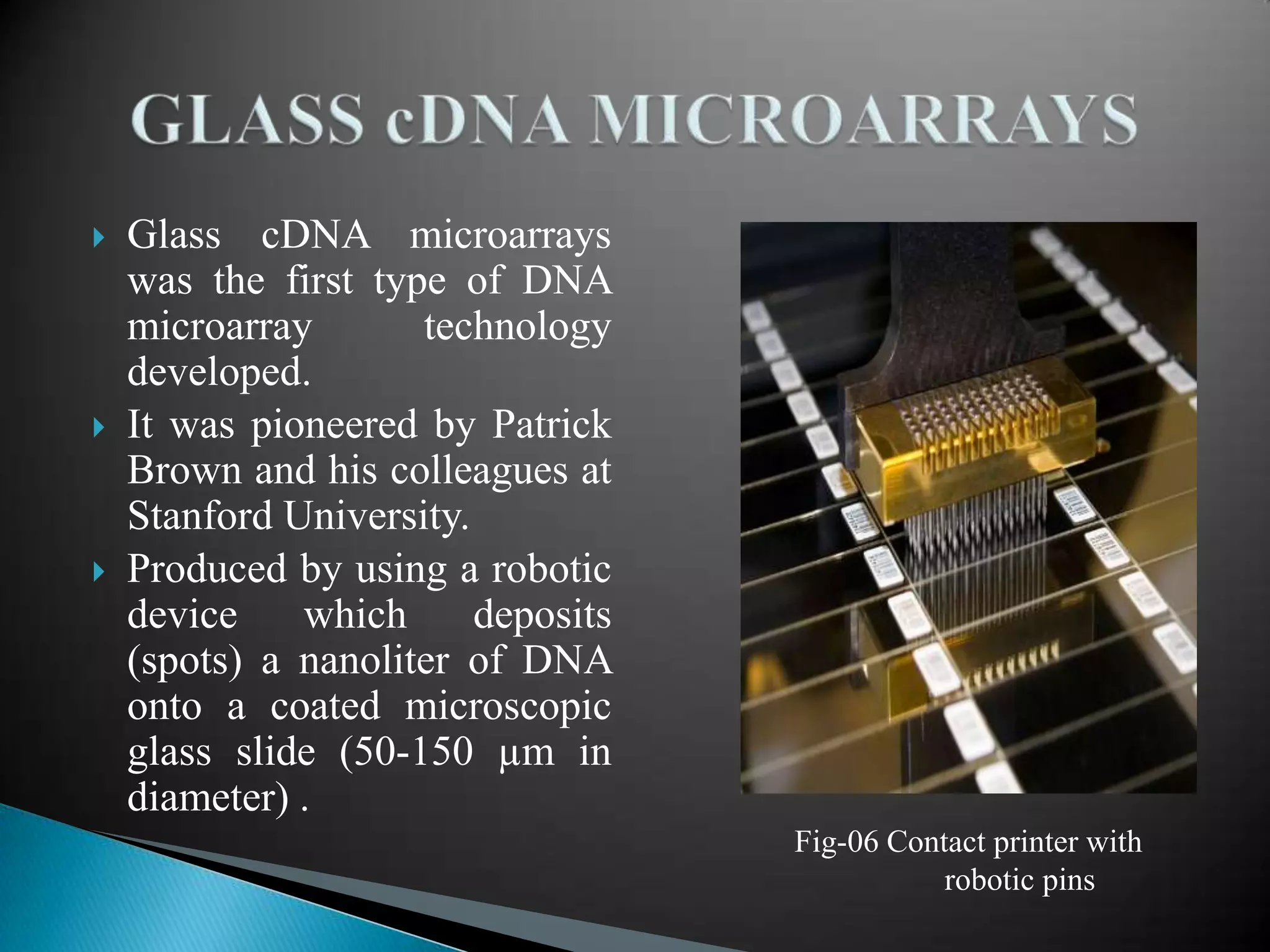 MICROARRAY | PPTX