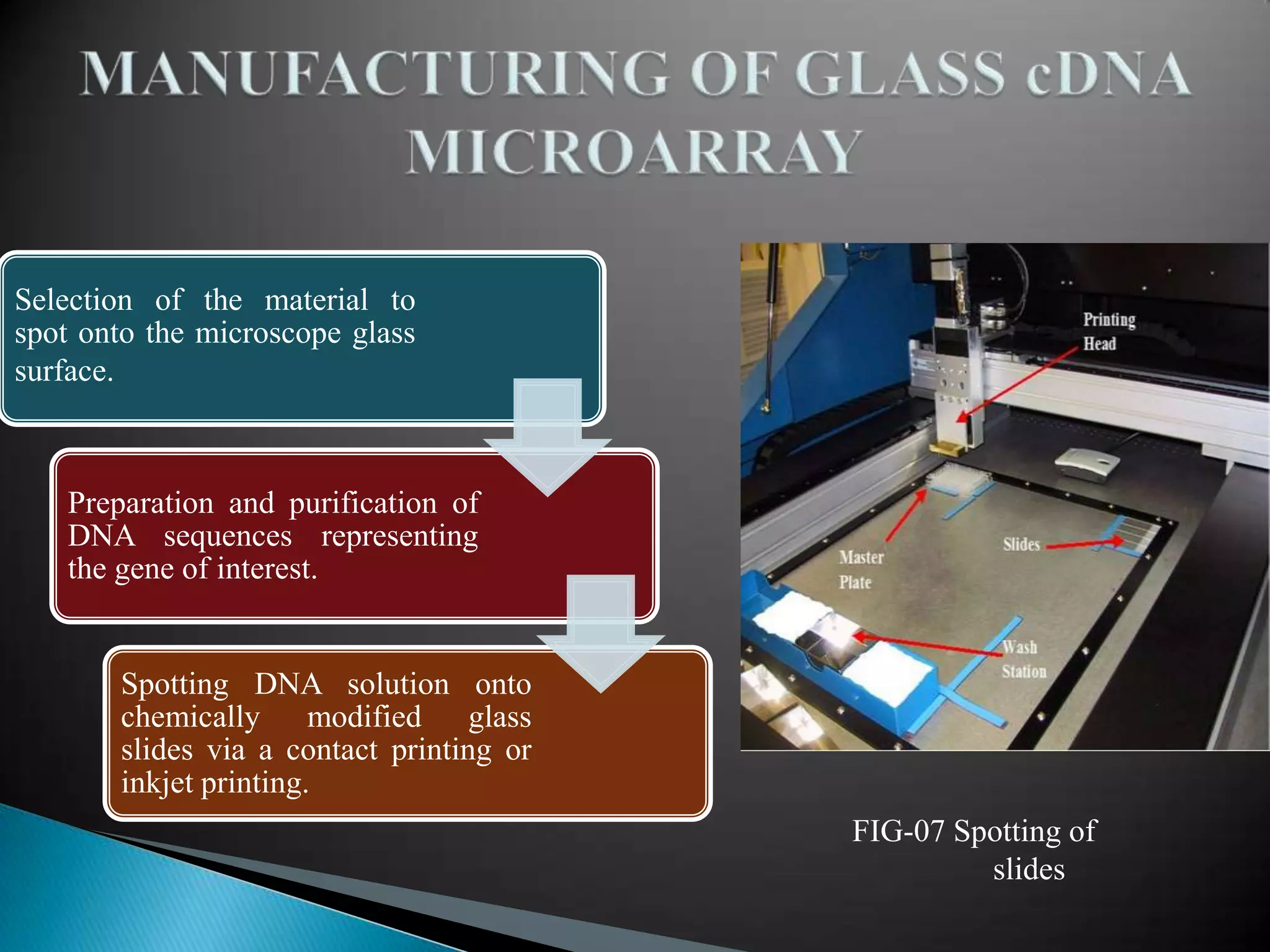 MICROARRAY | PPTX