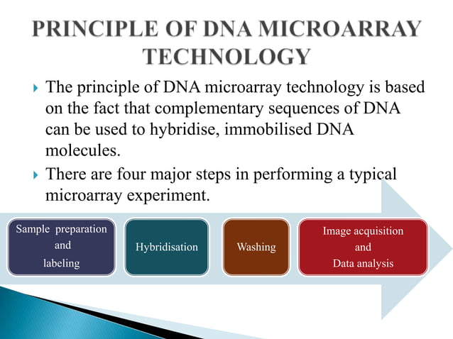 MICROARRAY | PPTX