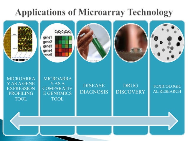 MICROARRAY | PPTX