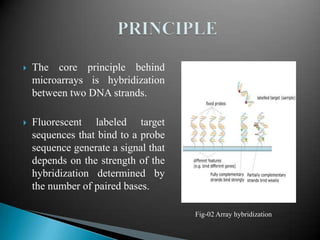 MICROARRAY | PPTX