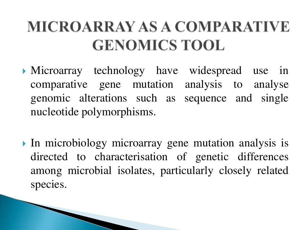 MICROARRAY