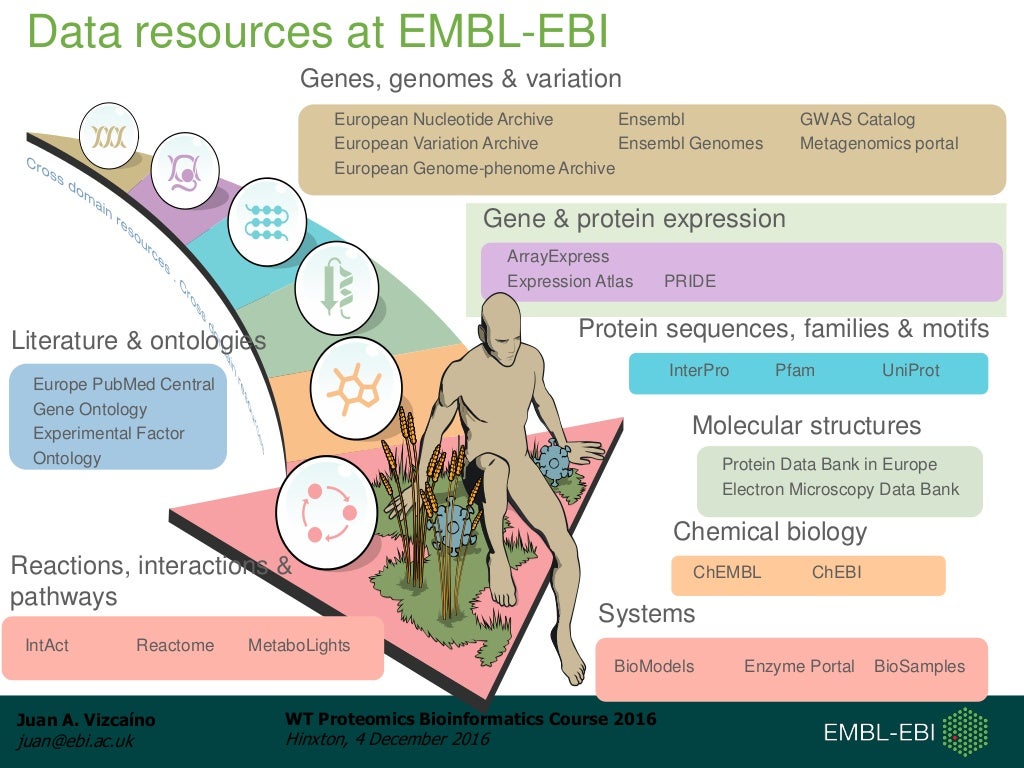 Introduction To The Proteomics Bioinformatics Course 2016