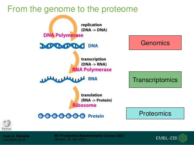 Introduction To The Proteomics Bioinformatics Course 2017
