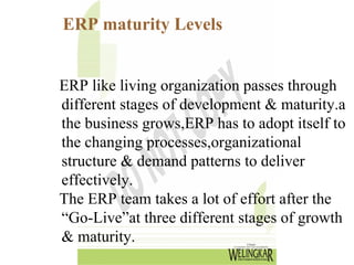 Introduction to ERP (Enterprise Resource Planning) | PDF