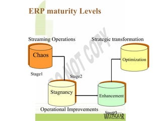 Introduction to ERP (Enterprise Resource Planning) | PDF