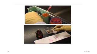 Microtechnique in histology, histology sample preparation methods | PPTX