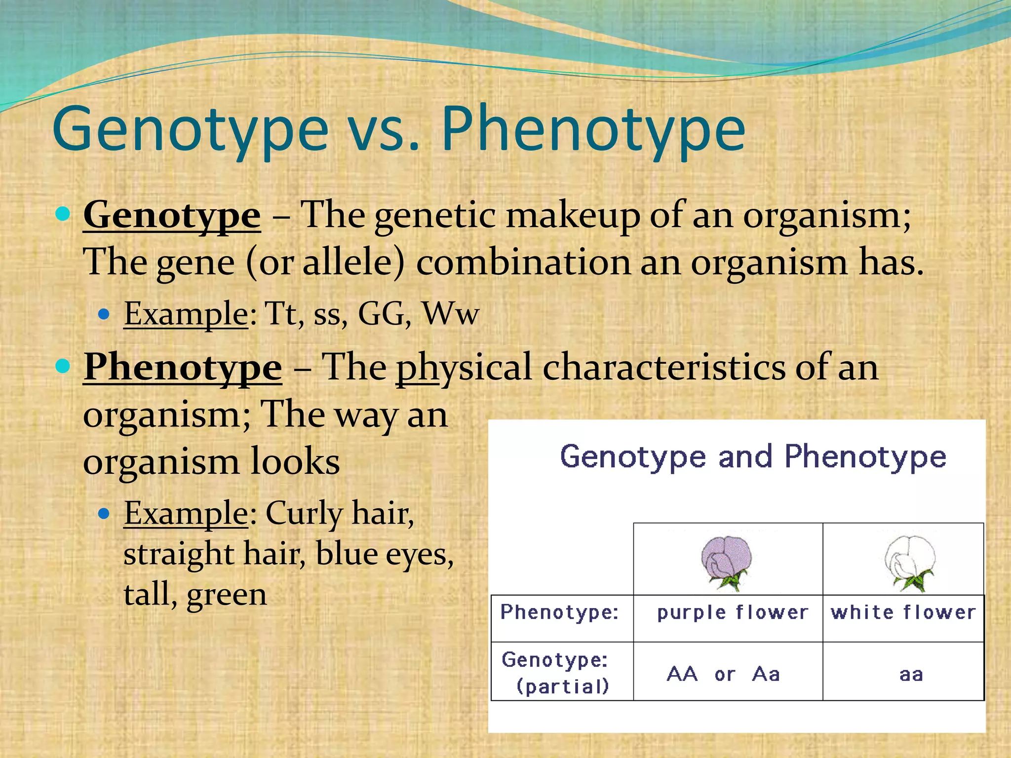 INTRODUCTION ABOUT GENETICS.ppt