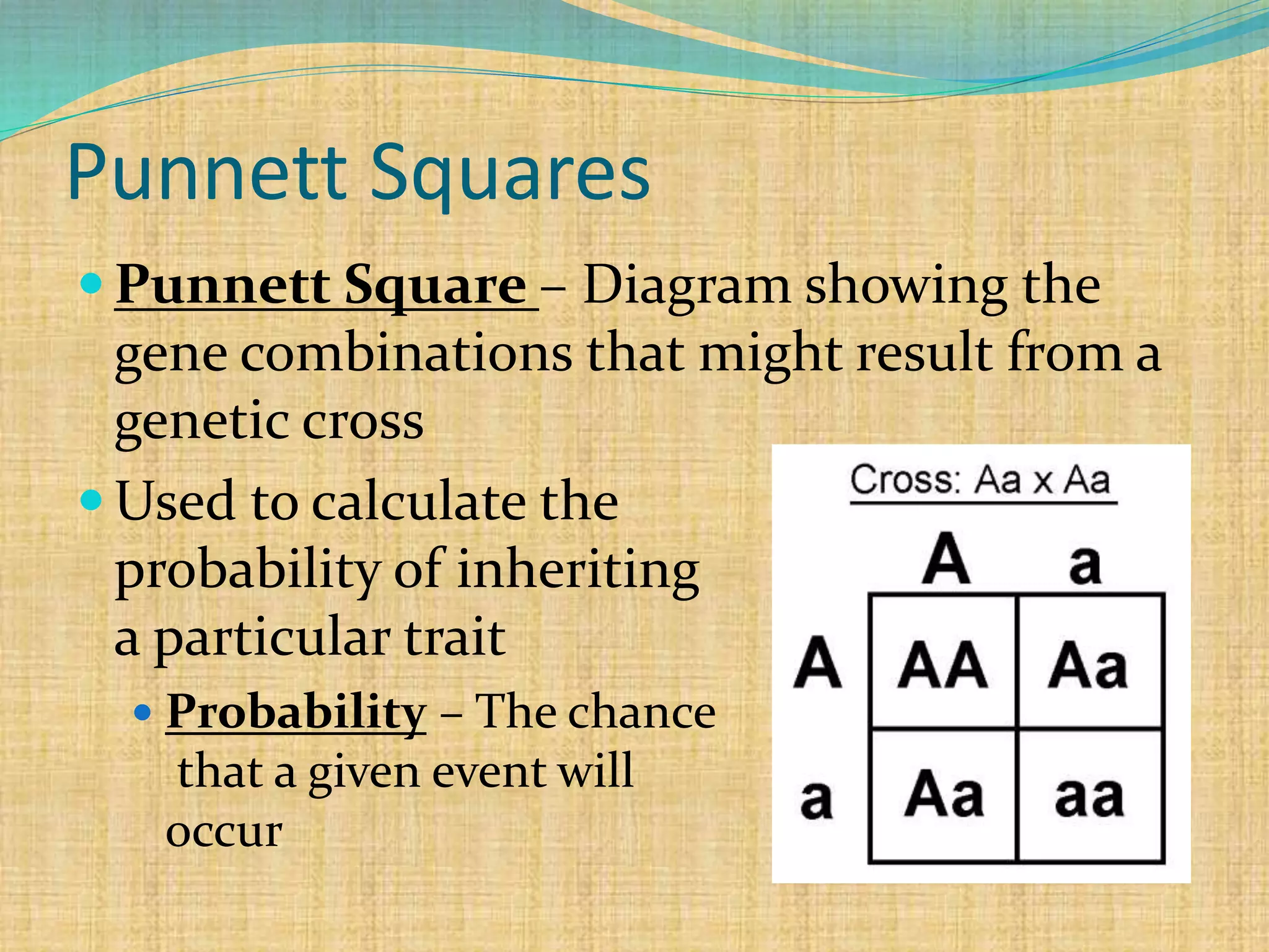 INTRODUCTION ABOUT GENETICS.ppt