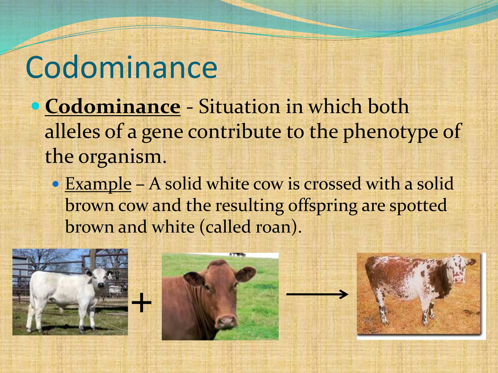 INTRODUCTION ABOUT GENETICS.ppt