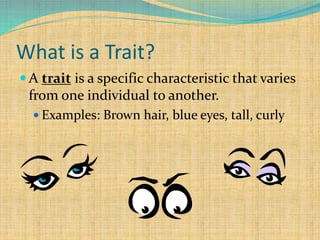 INTRODUCTION ABOUT GENETICS.ppt