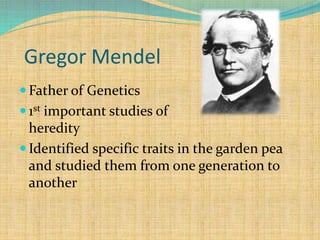 INTRODUCTION ABOUT GENETICS.ppt