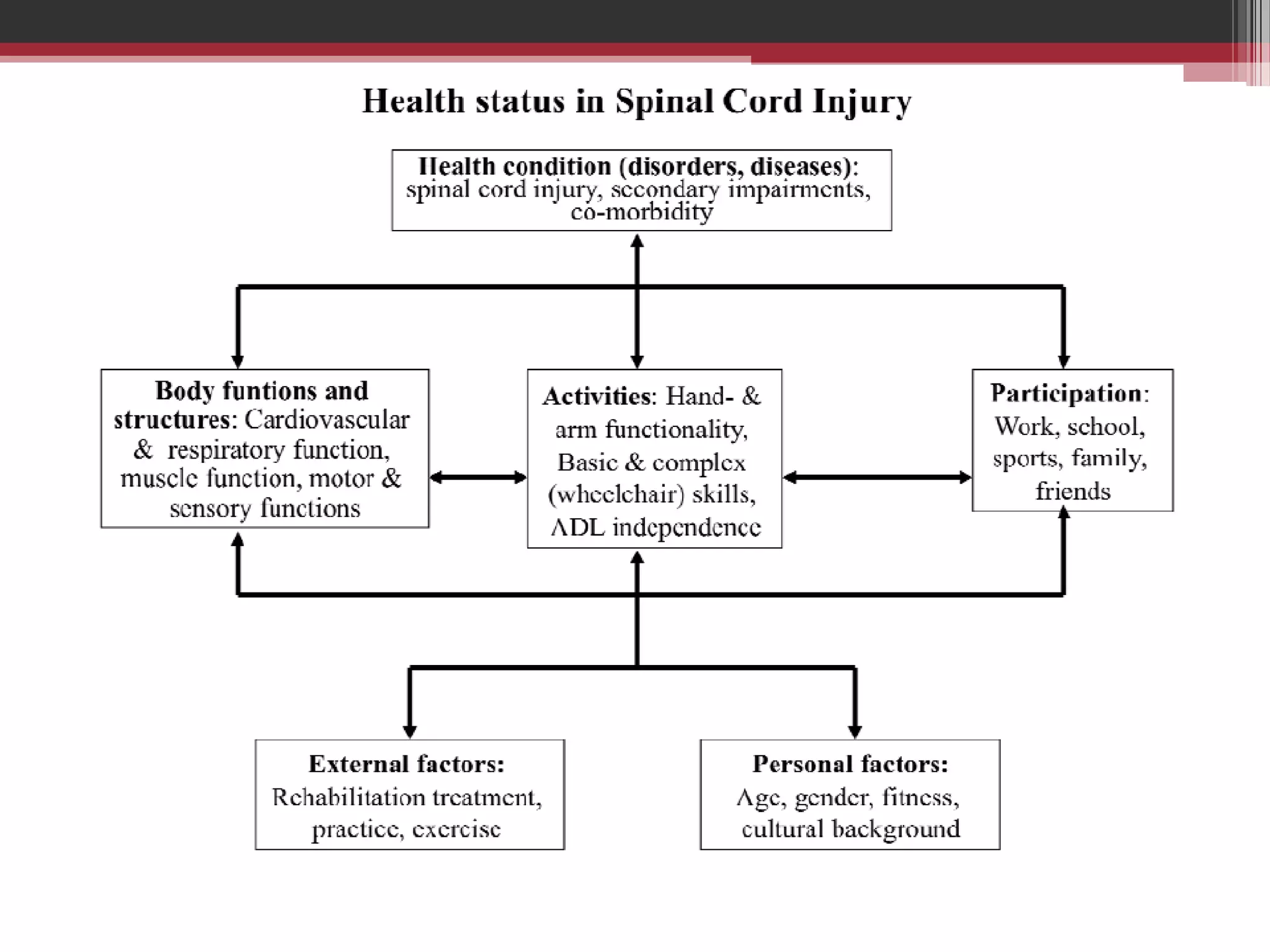 Introduction about ICF | PDF