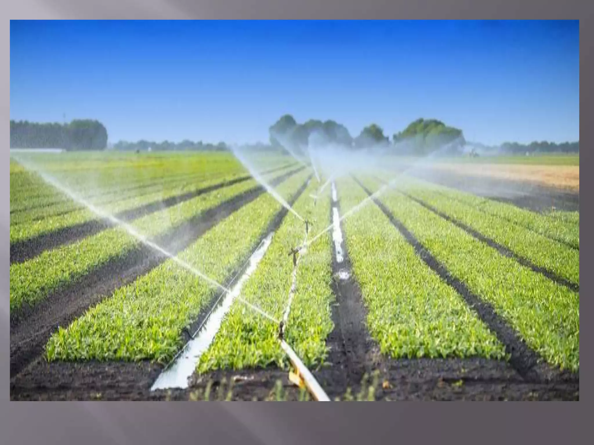 Introduction about Irrigation BY SITARAM SAINI | PPT