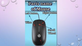 Introduction in computer set up and functions.pptx | Computer Peripherals | Computing