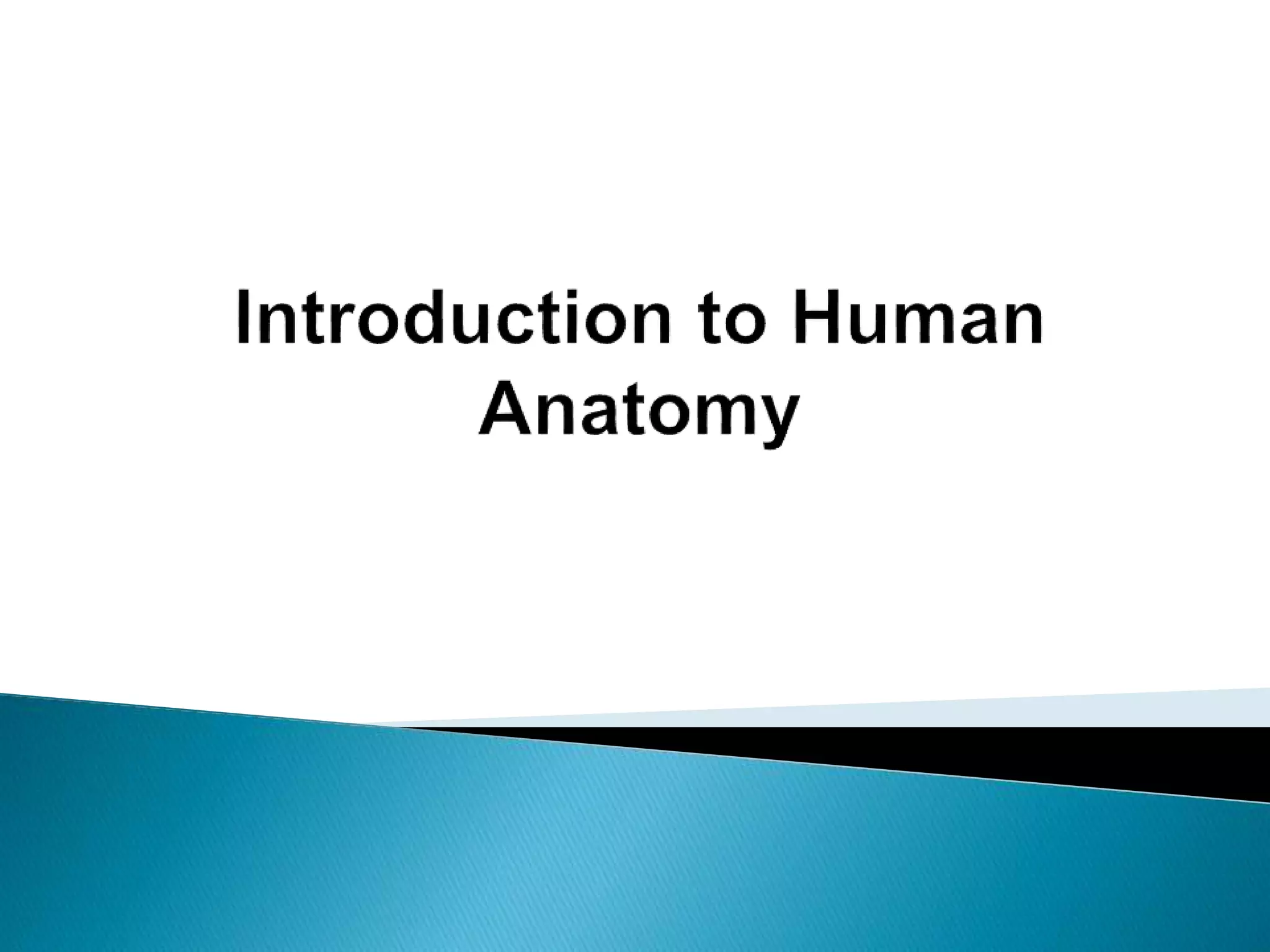Introduction Human Anatomy | PPTX