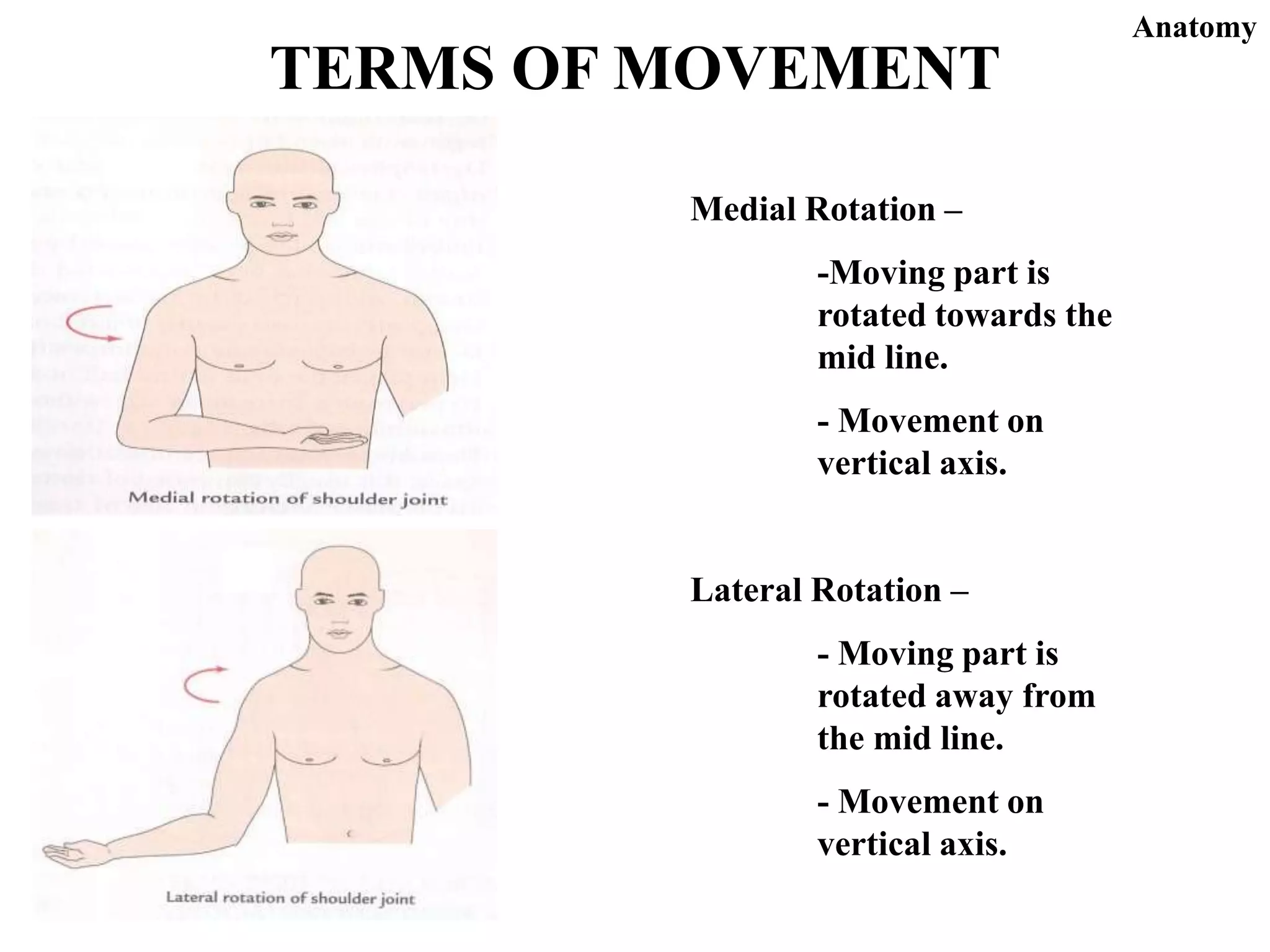 Introduction Human Anatomy | PPTX