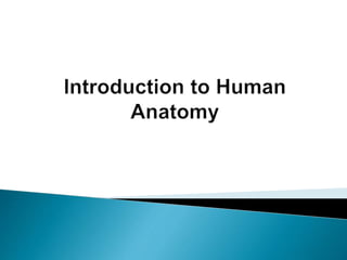 Introduction Human Anatomy | PPTX