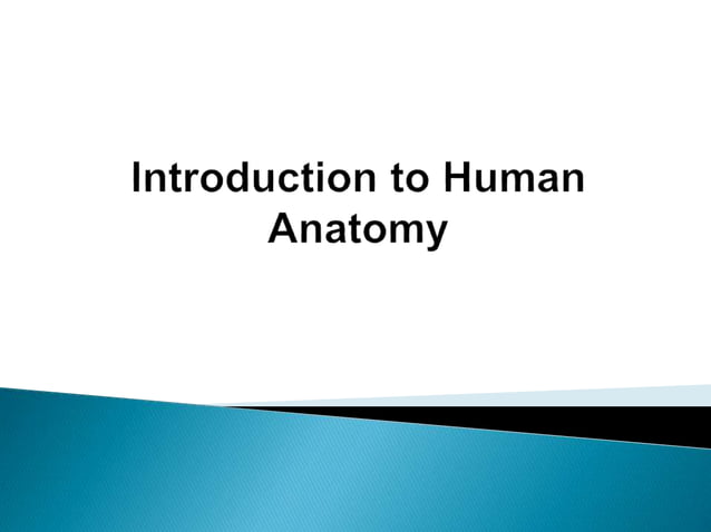 Introduction Human Anatomy | PPTX | Pregnancy | Reproductive Health