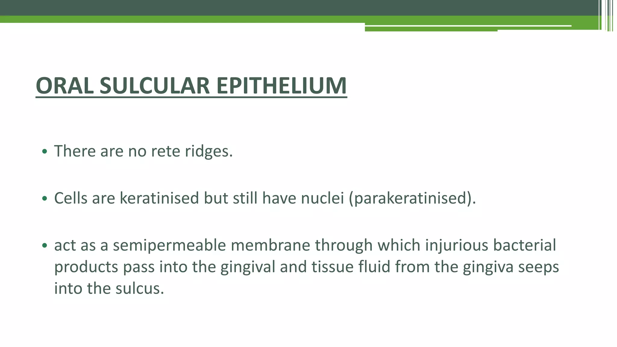 Clinical Periodontology - Introduction & Anatomy | PDF