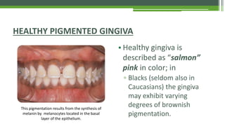 Clinical Periodontology - Introduction & Anatomy | PDF