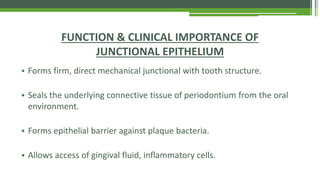 Clinical Periodontology - Introduction & Anatomy | PDF