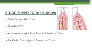 Clinical Periodontology - Introduction & Anatomy | PDF