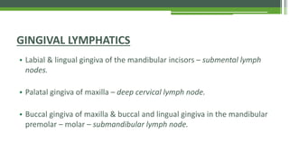 Clinical Periodontology - Introduction & Anatomy | PDF