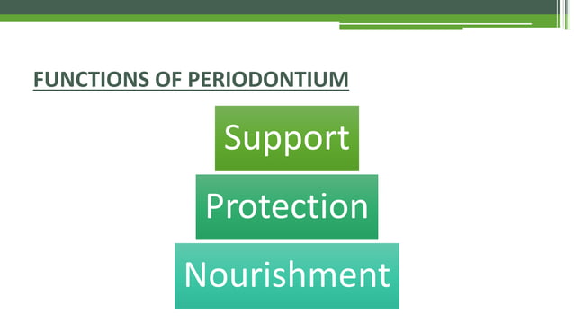 Clinical Periodontology - Introduction & Anatomy | PDF