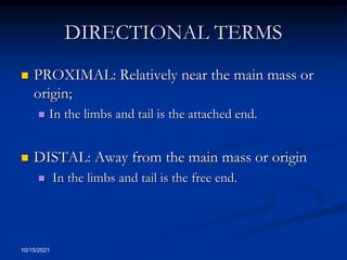 Introduction anatomy 2 2021 | PPTX