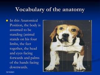 Introduction anatomy 2 2021 | PPTX